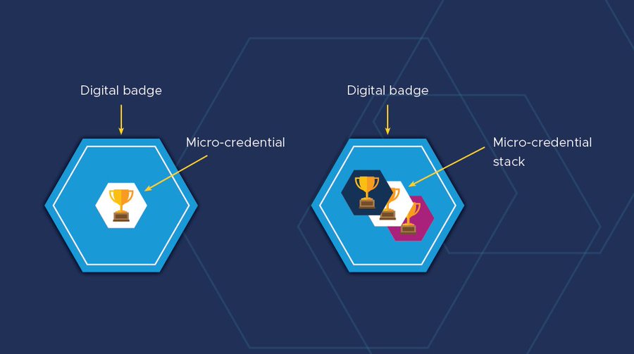 Micro-credential whitepaper by Participate Micro-credential whitepaper by Participate